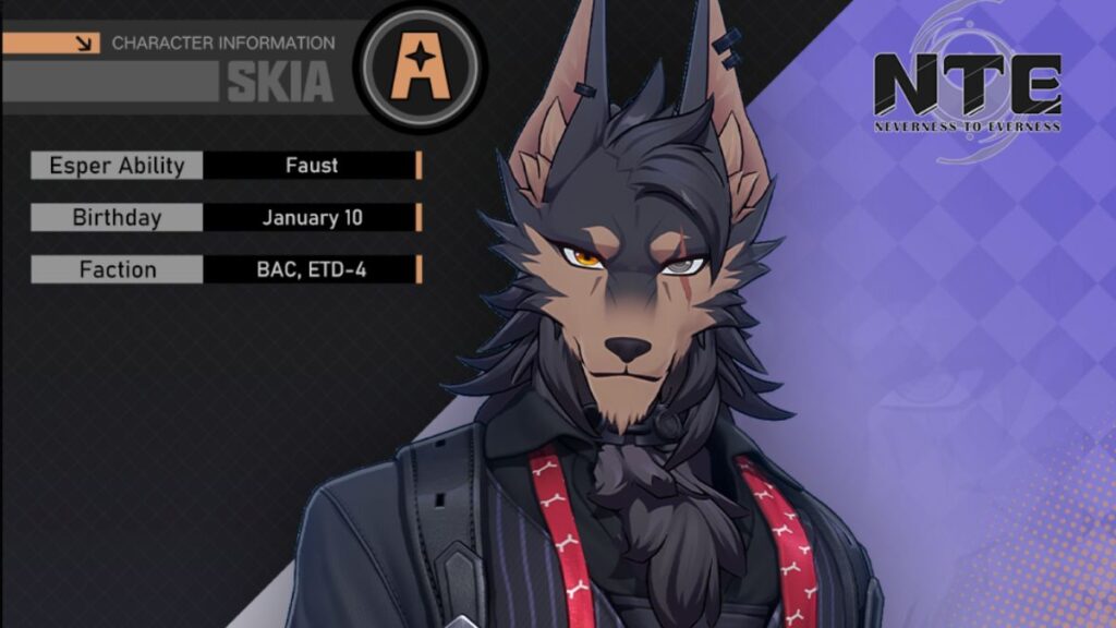 Skia Best Build Guide: Skills, Gear & Team Comps - Neverness to ...